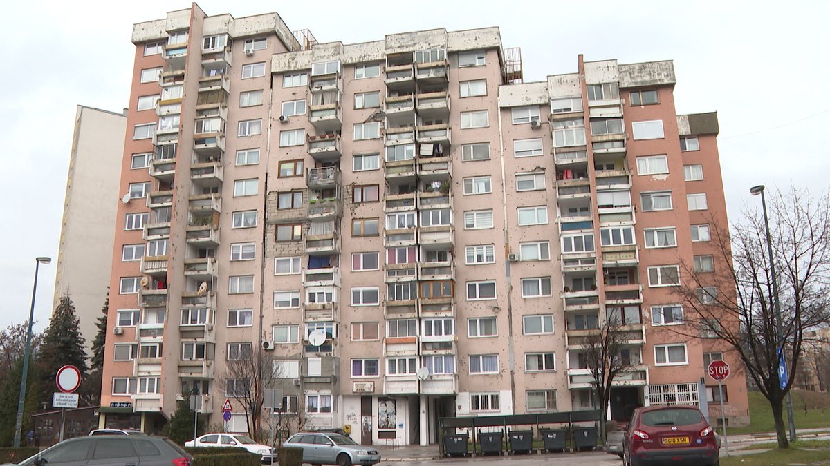 U Sarajevu velika najezda stjenica, građani zabrinuti