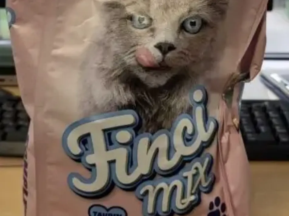 Federalna inspekcija na GP Orašje zabranila uvoz devet tona hrane za ...