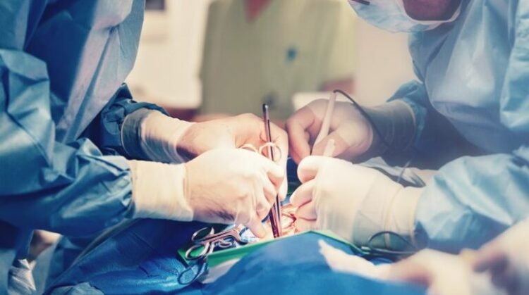 Studija daje nadu: Pretvaranjem vena u arterije mogla bi se izbjeći ...