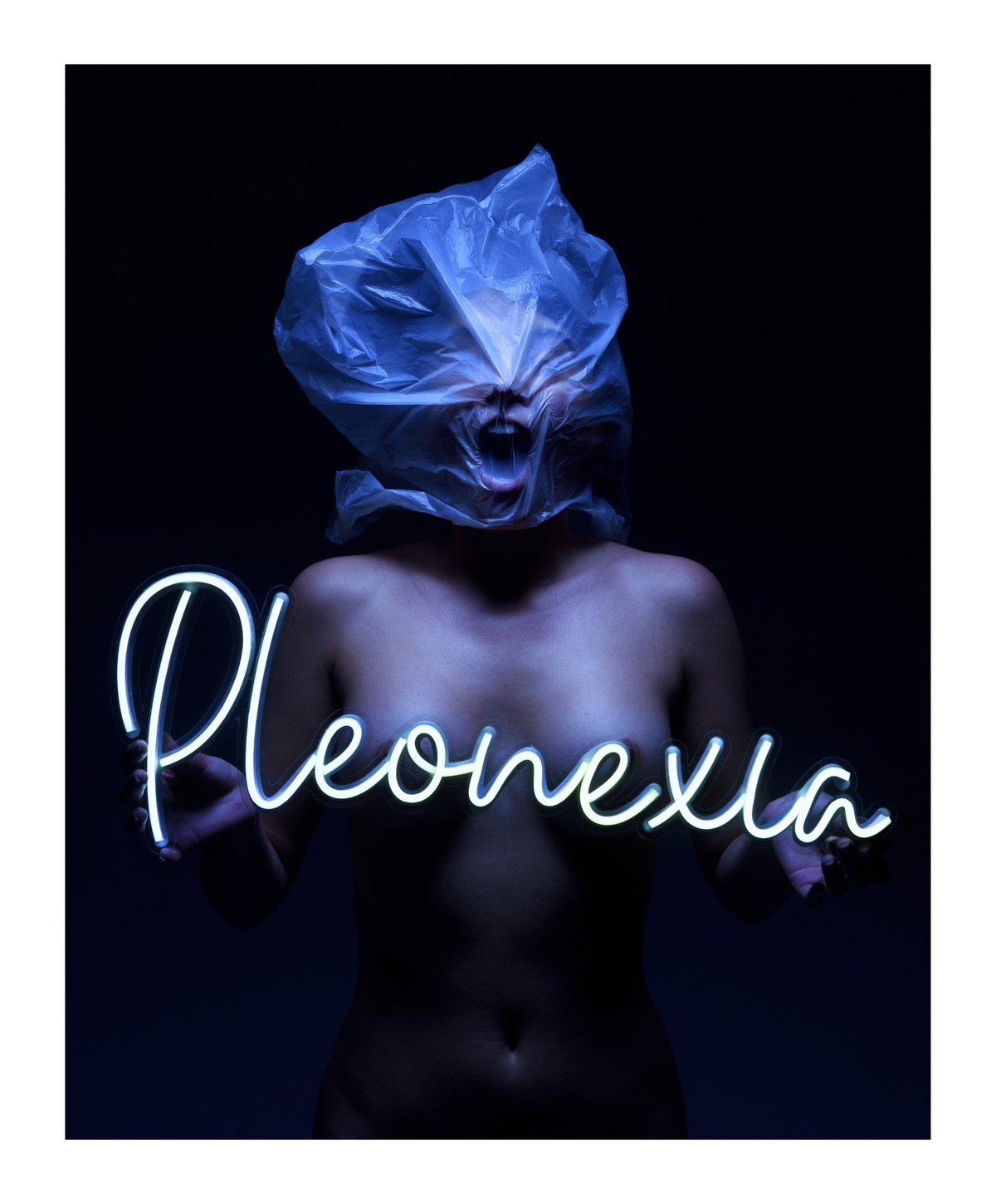 Izložba Almina Zrne "Pleonexia" kao poziv publici na duboko razmišljanje