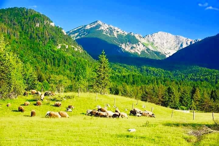 Nekada najljepše selo Europe: Ima preko 300 izvora pitke vode i nalazi ...