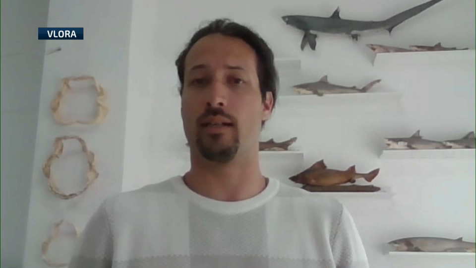Andrej Gajić: Već imamo problem sa invazivnim vrstama u Jadranskom moru
