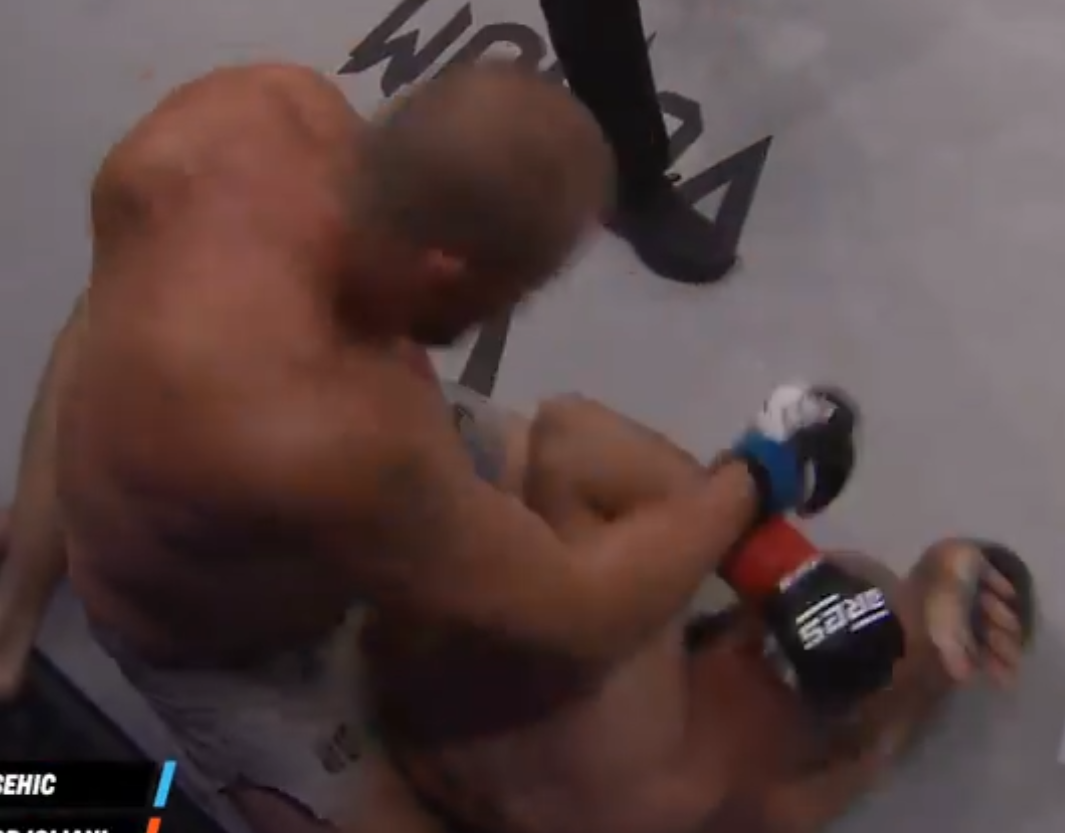 Bh. borac Benjamin Šehić na dominantan način savladao opasnog rivala ...