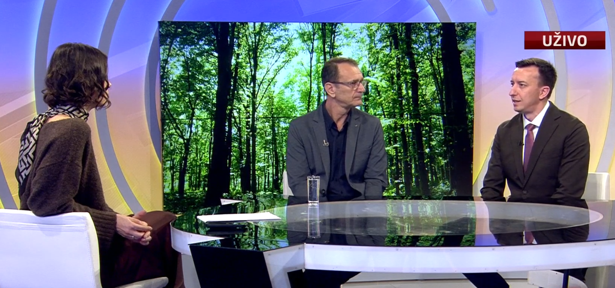 Šume u BiH: Požari se nekad izazivaju da bi porasle skupocjene gljive