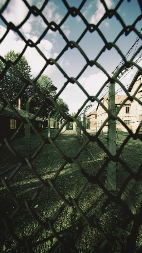Tomić: Auschwitz kao simbol svjetske tragedije danas