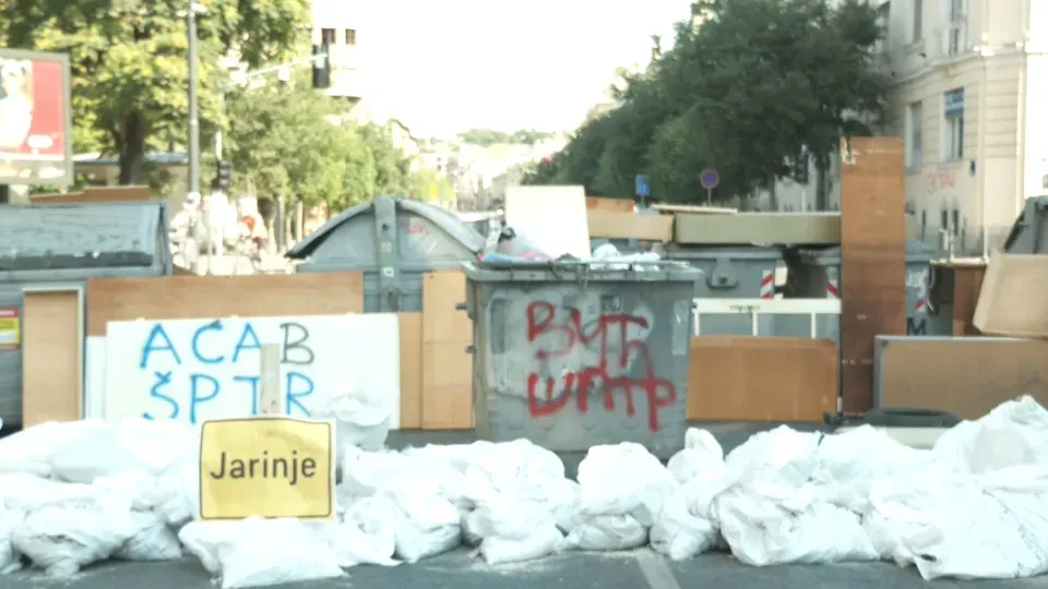 Zemunci iznijeli balvane na blokade, a pogledajte tek koje životinje su ...