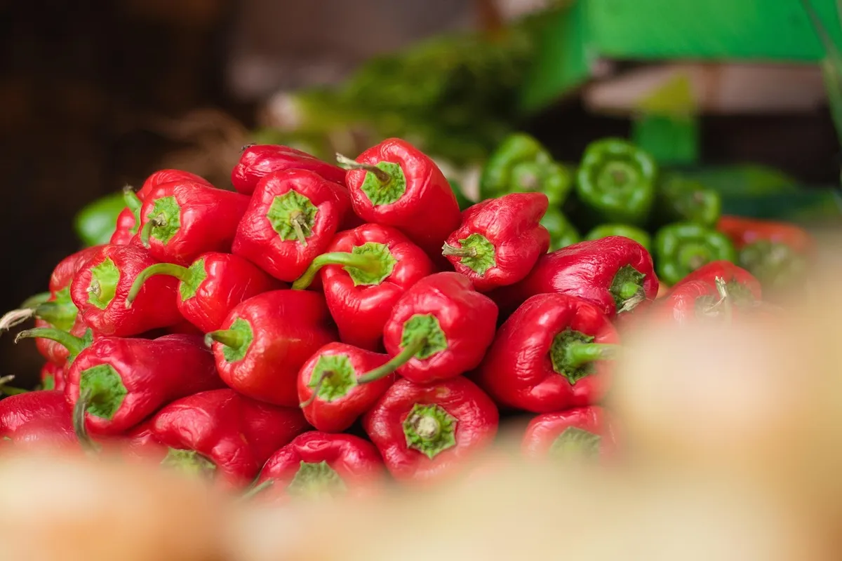 Paprika sada najviše raste: Ovo je formula za uspjeh