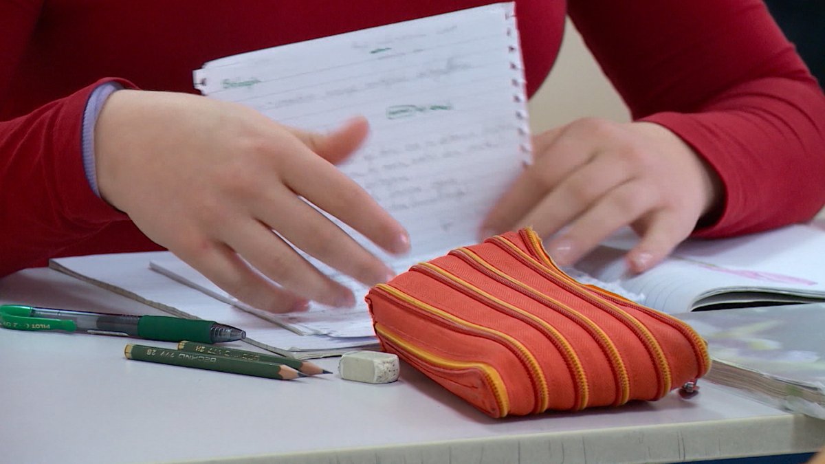 OŠ "Osman Nuri Hadžić" ove godine ima 48 odjeljenja: "Prvi put smo ...