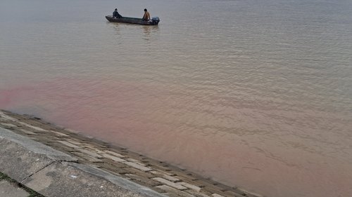 Pocrvenio Dunav u Beogradu (FOTO/VIDEO)