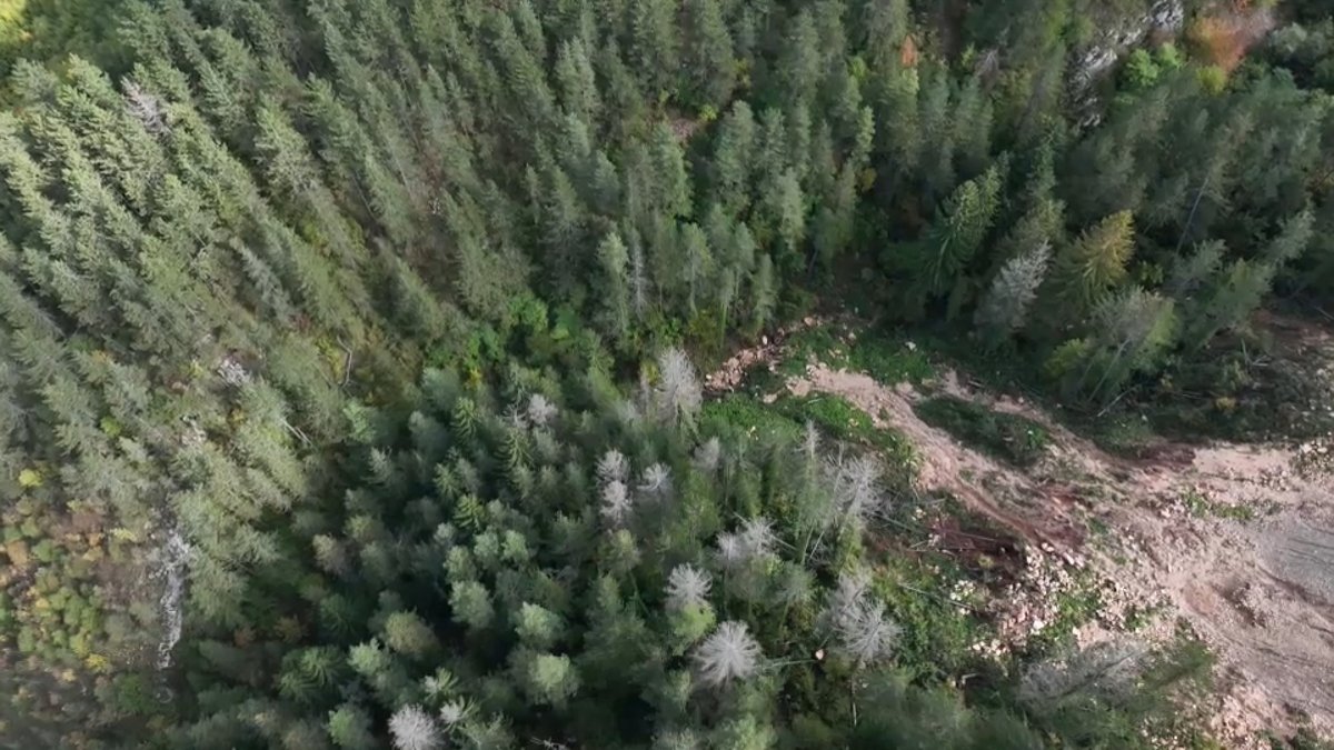 FUCZ o klizištu na Trebeviću: Teren se nadzire 24 sata