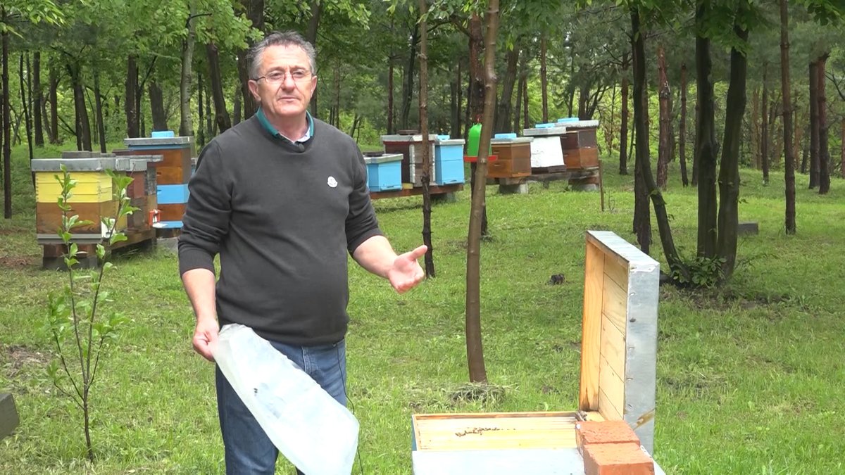 Nestane li pčela, nestat će i nas