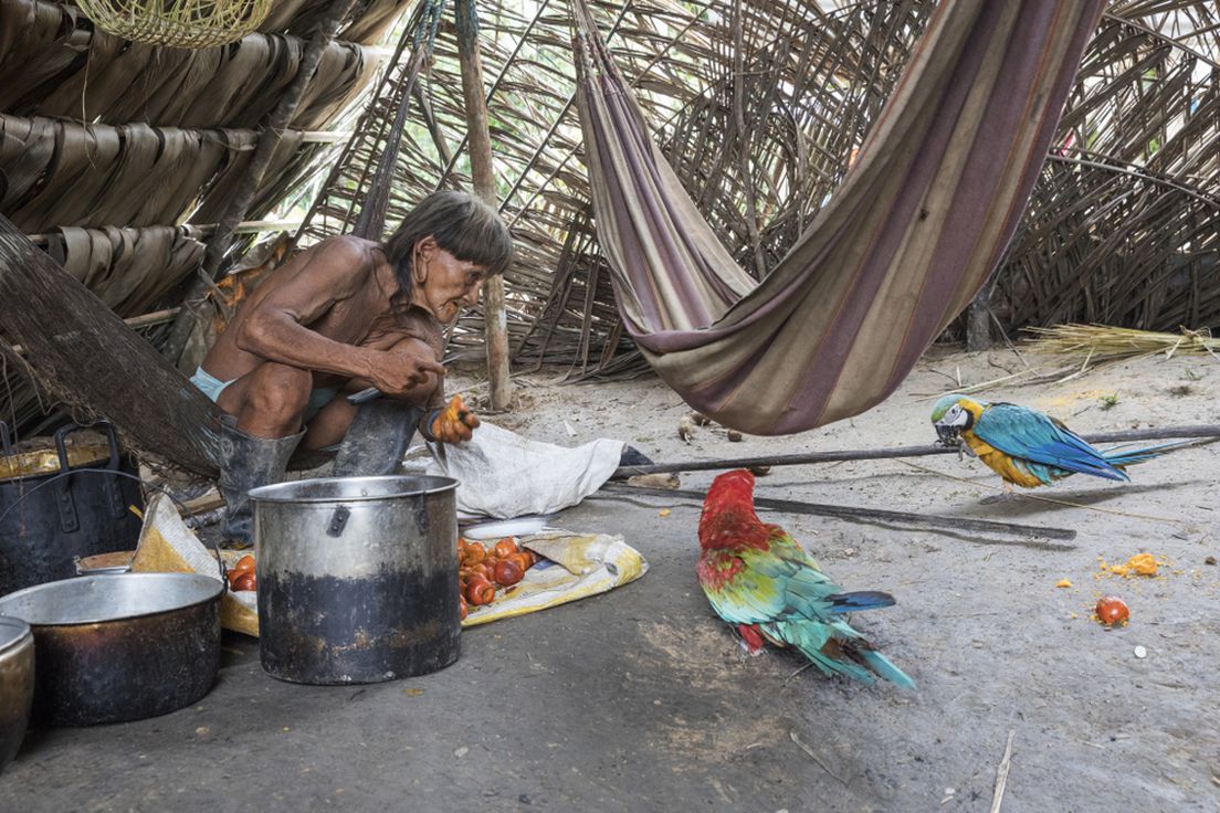 Lekcije iz džungle: Pleme koje je otkrilo tajnu sretnog života