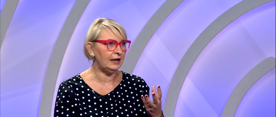 Gdje je Bosna i Hercegovina na EU putu?