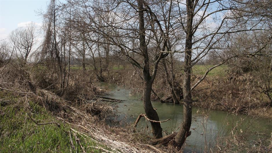 Nakon više od 100 godina, dabrovi se vratili u BiH - N1