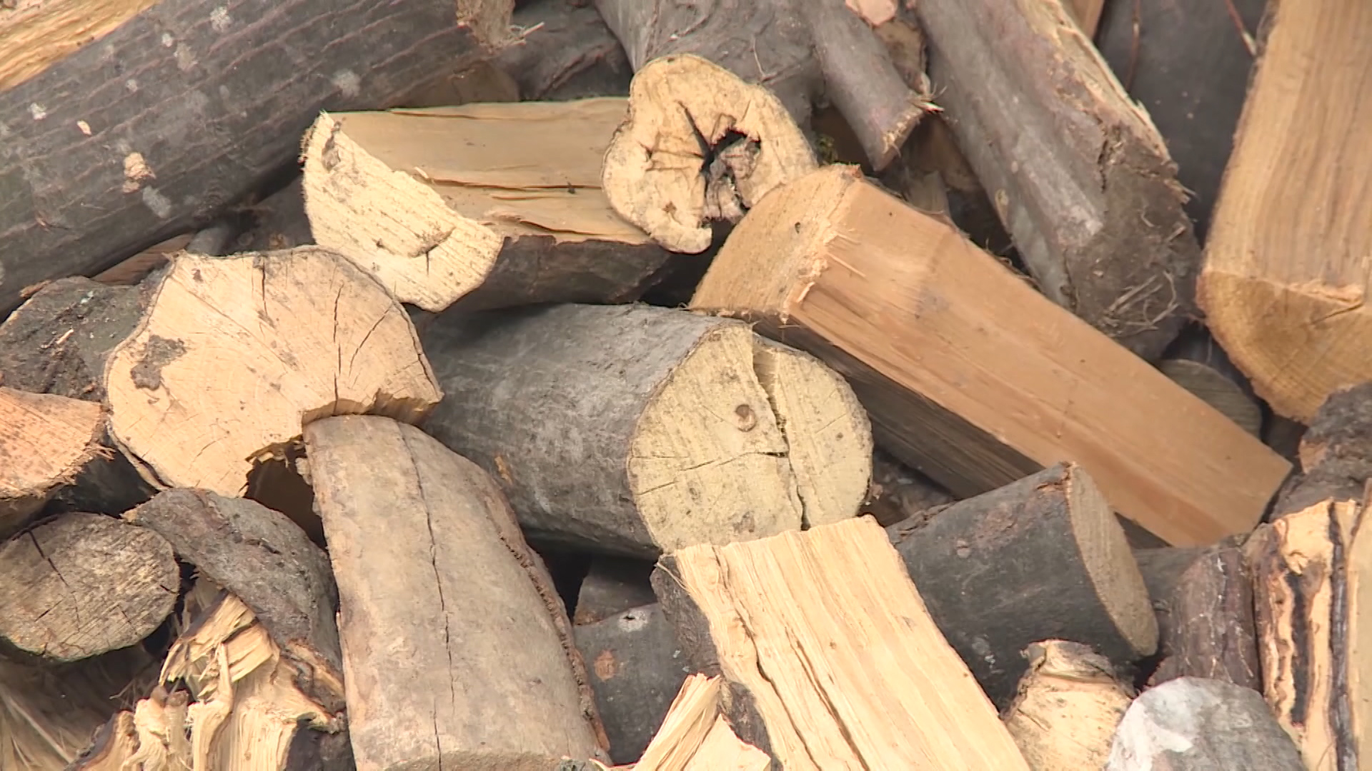 Koju vrstu drveta izabrati za ogrjev? - N1