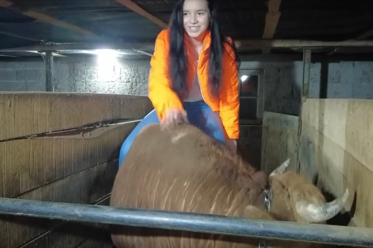 Šesnaestogodišnjakinja najmlađi trener bikova: Kakvi automobili, kakvi ...