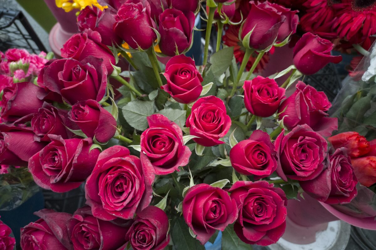 Danas je međunarodni Dan žena, evo kako je sve počelo - N1