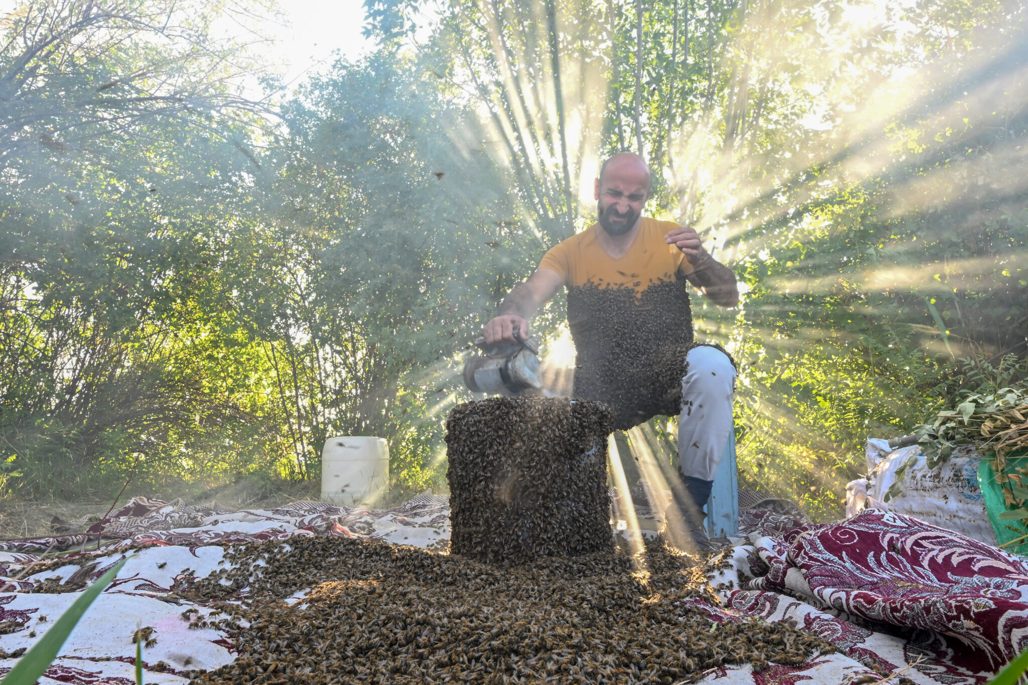 Na putu ka Guinnessu: Pčelar se želi prekriti sa 65 kilograma pčela ...