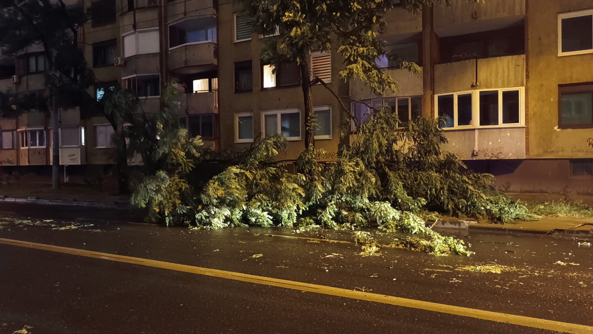 Nevrijeme u Sarajevu uzrokovalo probleme: Palo stablo, policija na ...