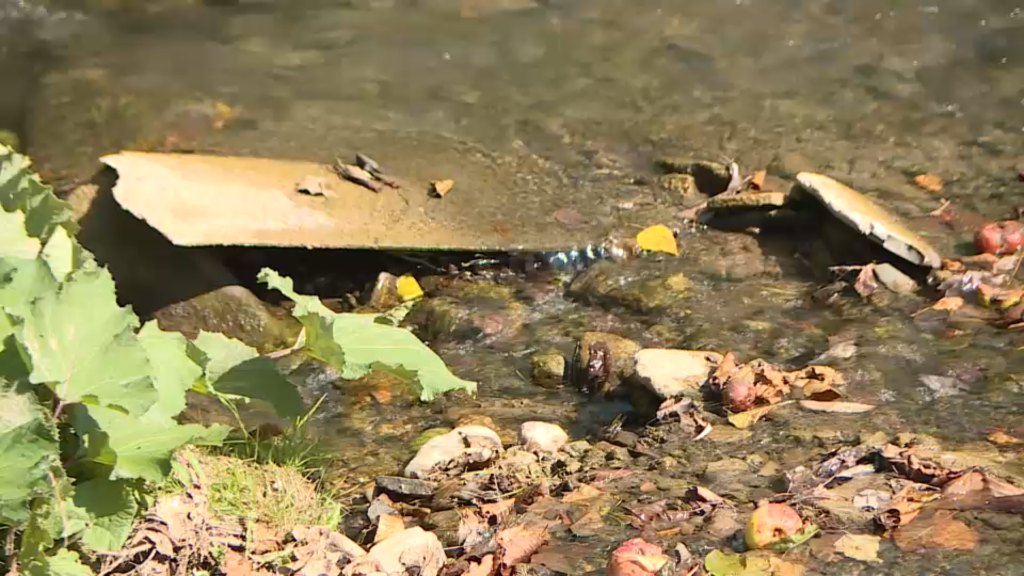 Rudarenje litija ostavlja posljedice na zdravlje mještana: "Voda pecka ...