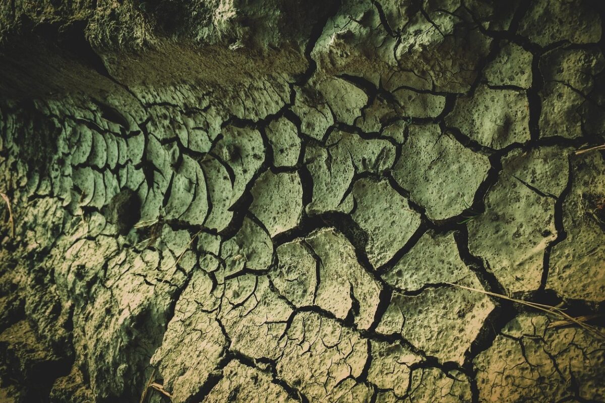 Naučnici otkrili kada bi ljudi na Zemlji mogli izumrijeti i šta će ...