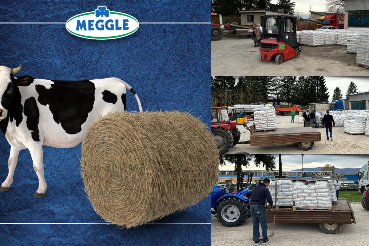 MEGGLE BH unapređuje poljoprivrednu održivost kroz projekat EU4AGRI - N1