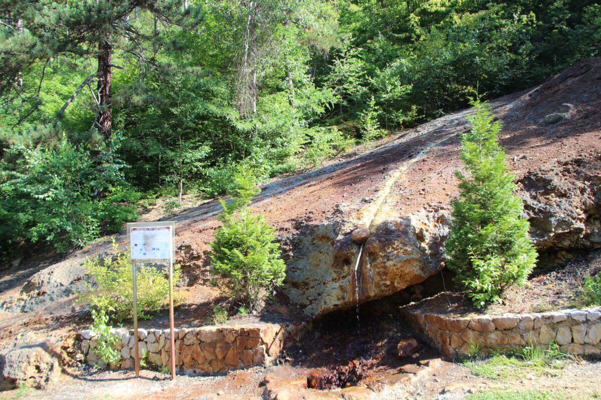 "Guber voda vijekovima liječi ljude, a Vlast u RS je testira na ...