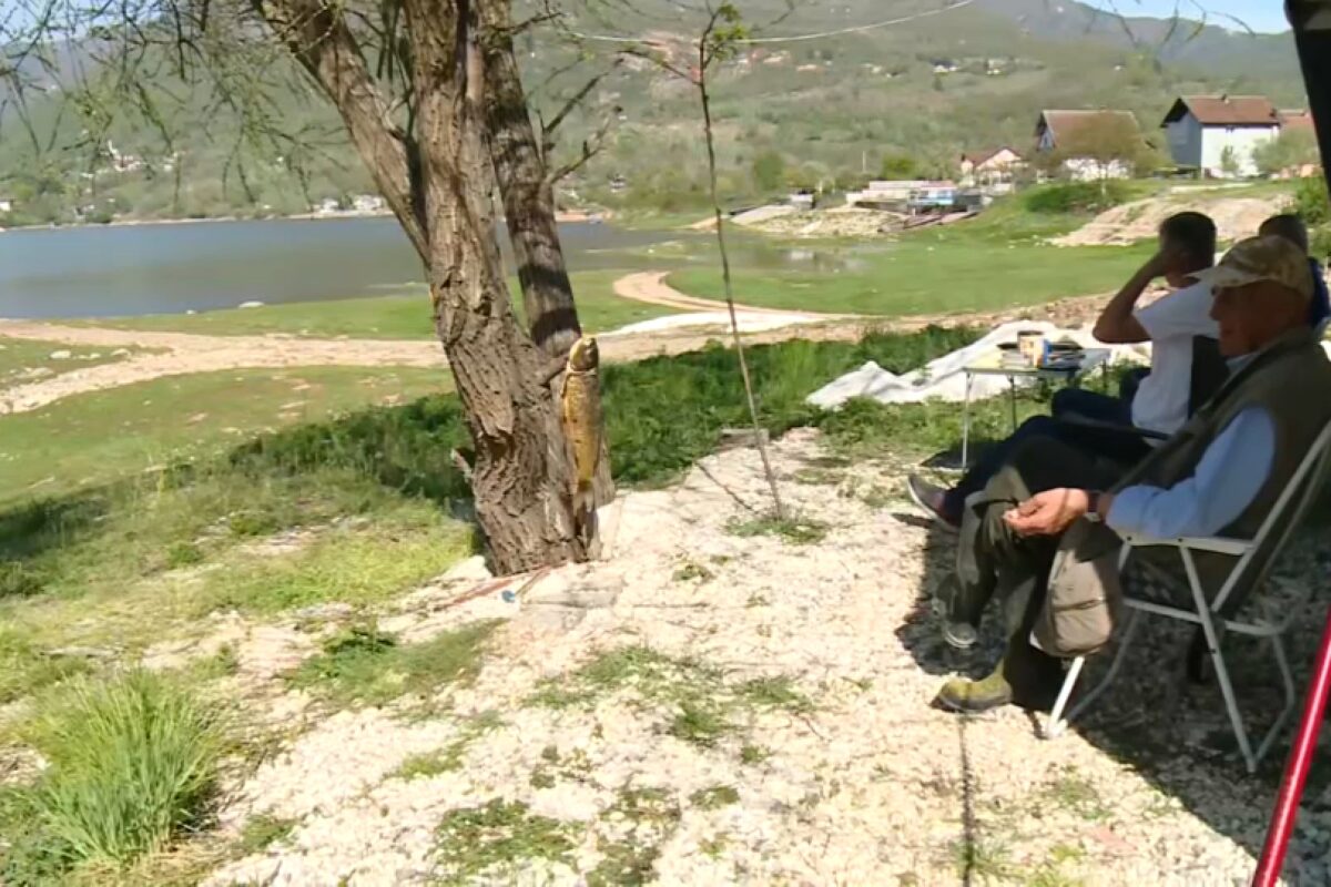 Ribari sa Jablaničkog jezera: Da je opasno bio bi pomor ribe, ranije se ...