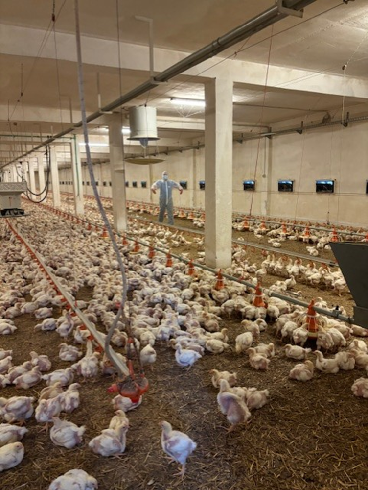 Veterinarska inspekcija Kantonalne uprave za inspekcijske poslove KS ...