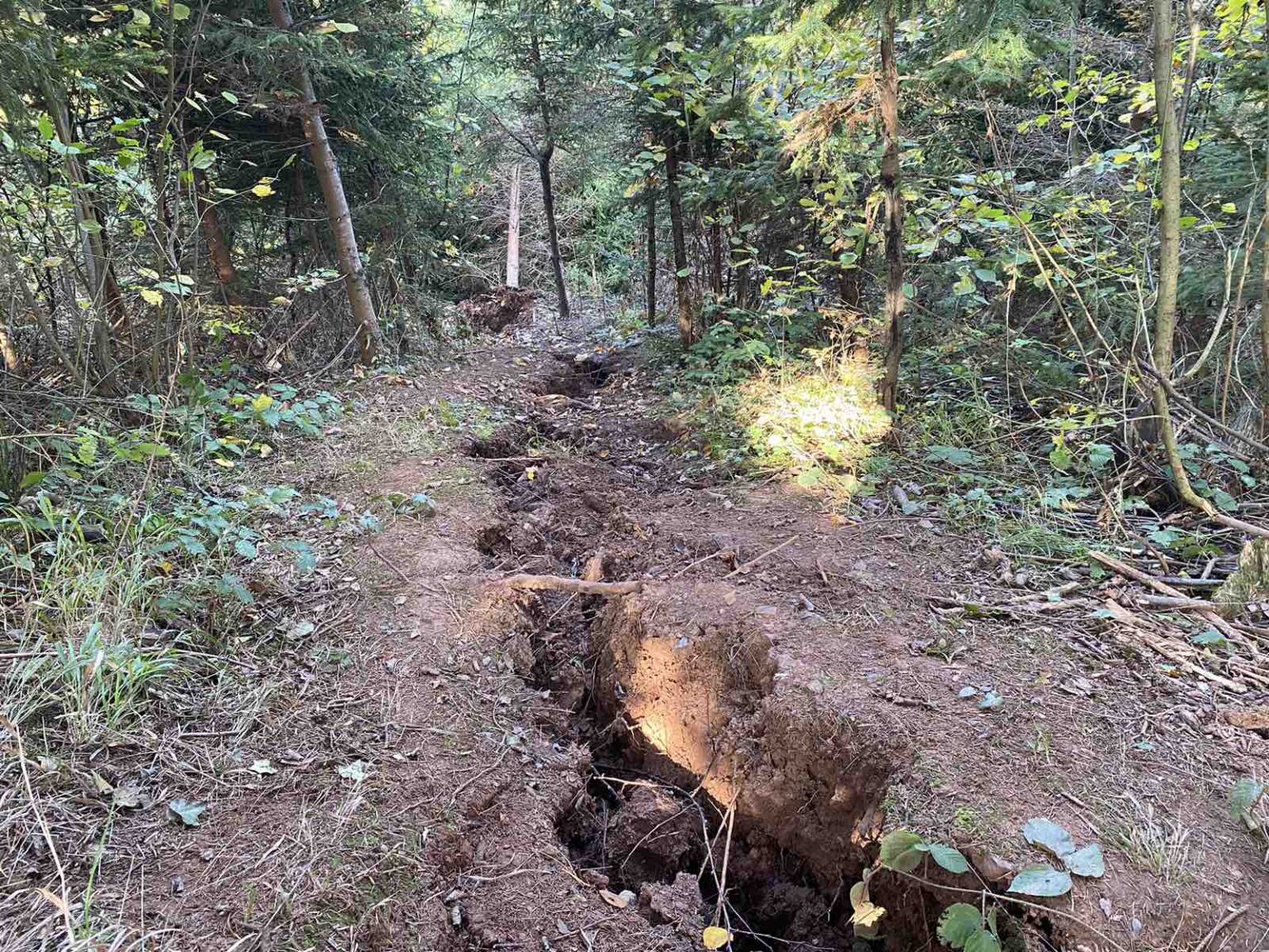 Evacuation efforts in Sarajevo’s Stari Grad face challenges amid ...